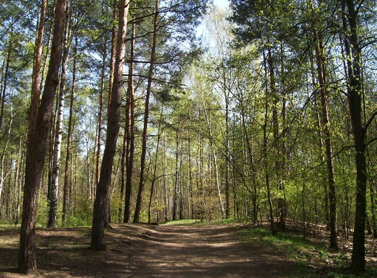 Warszawa - Lasek na Kole. Atrakcje turystyczne Warszawy. Ciekawe miejsca Warszawy